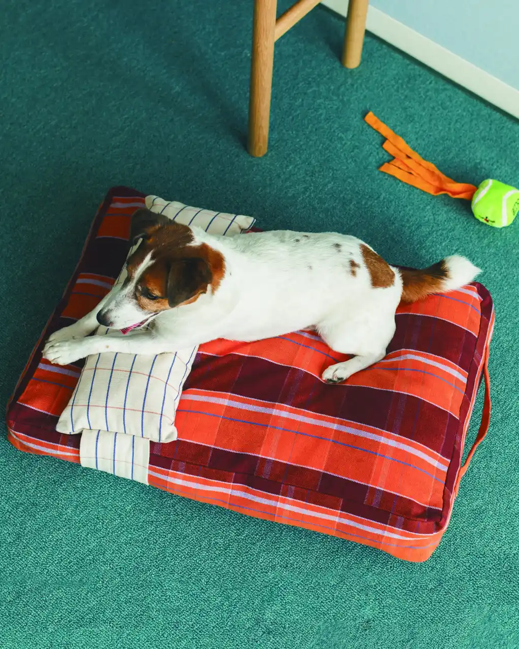 【株式会社ミサワ】 ペットとの暮らしを楽しくするアイテムを発売 | TrendTimes